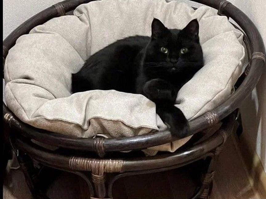 Лежанка из ротанга с подушкой