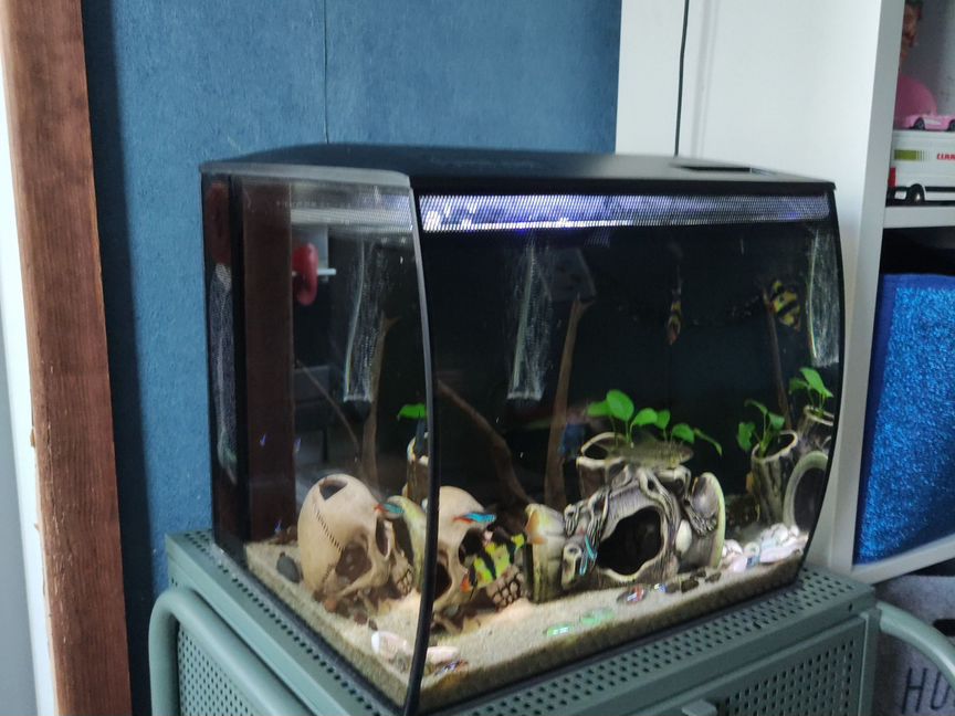 Аквариум Fluval flex 34 литра черный
