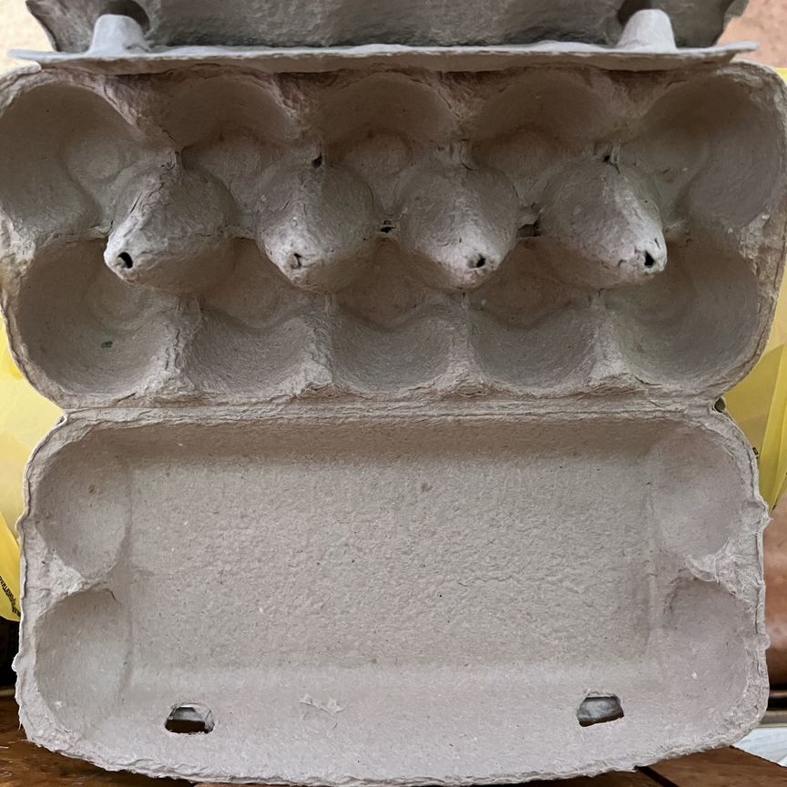 Ячейки для яиц бесплатно