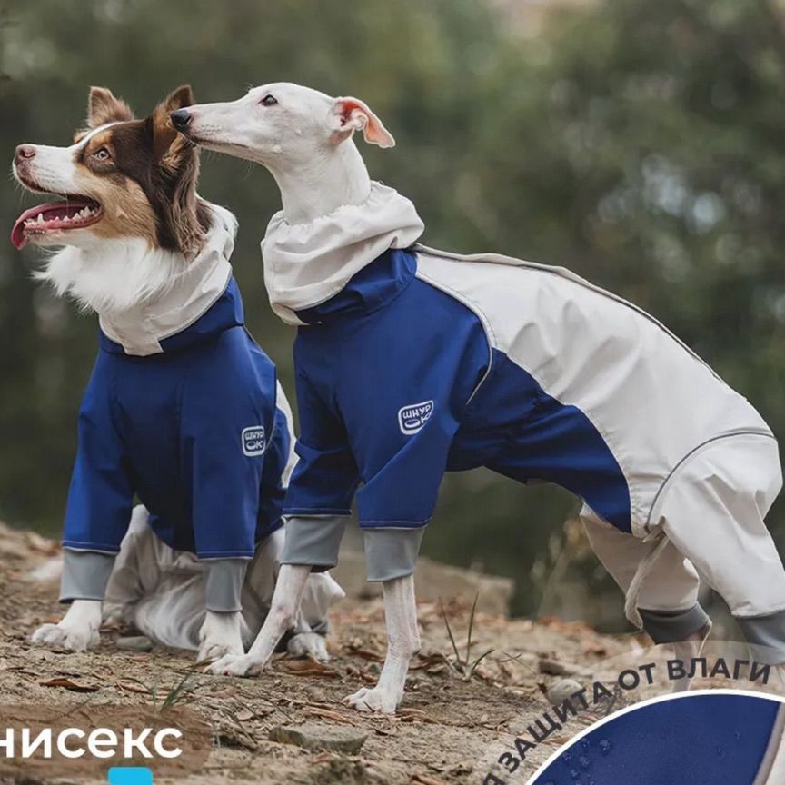 Дождевик для собаки