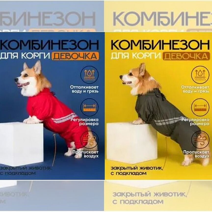 Комбинезон для прогулки (корги)