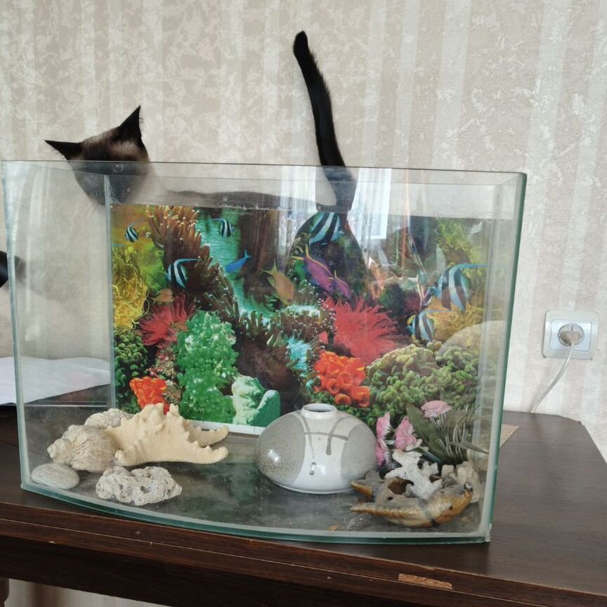 Аквариум