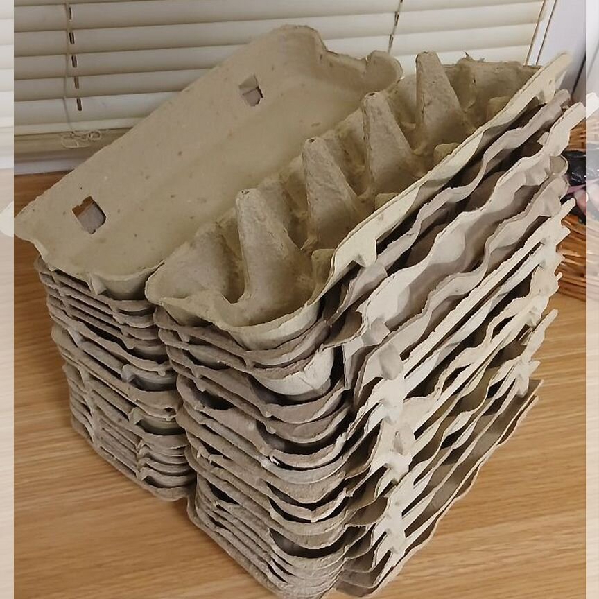 Отдам лотки от яиц