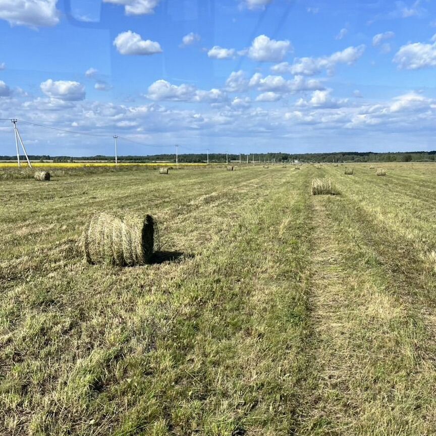 В продаже сено в рулонах