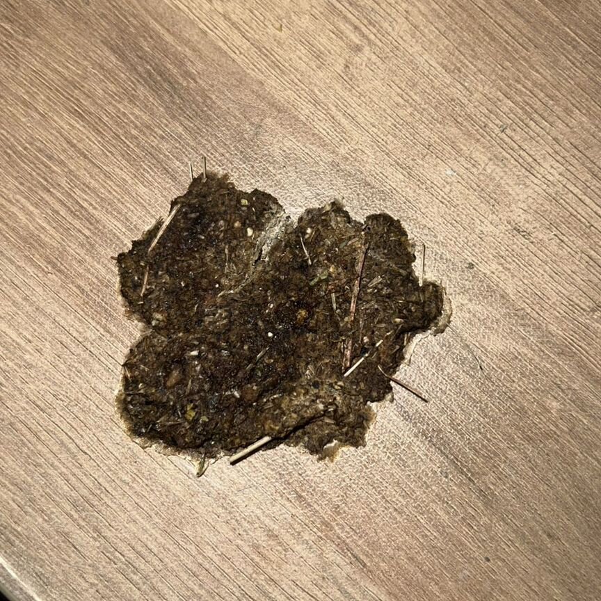 Много печеник для грызунов