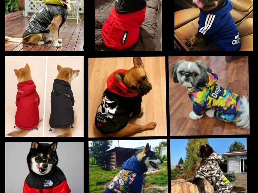 Одежда для собак