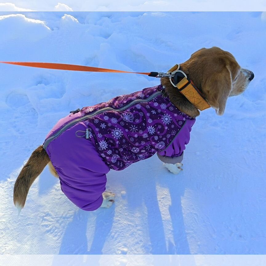 Комбинезон для собаки (девочки)