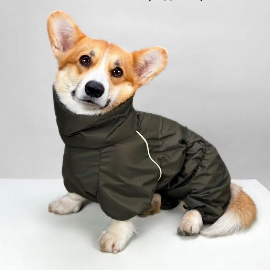 Одежда для собак