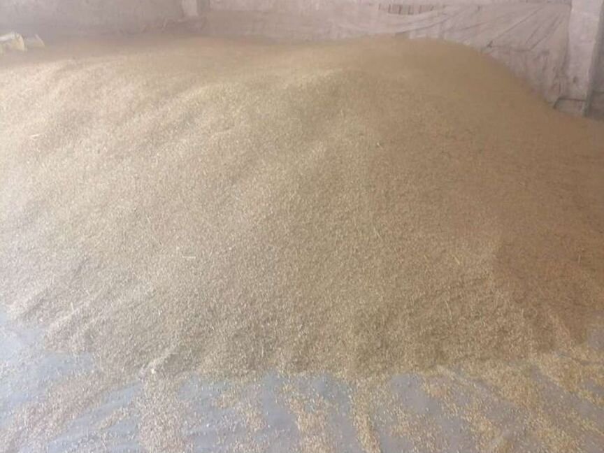 Зерно пшеница овес