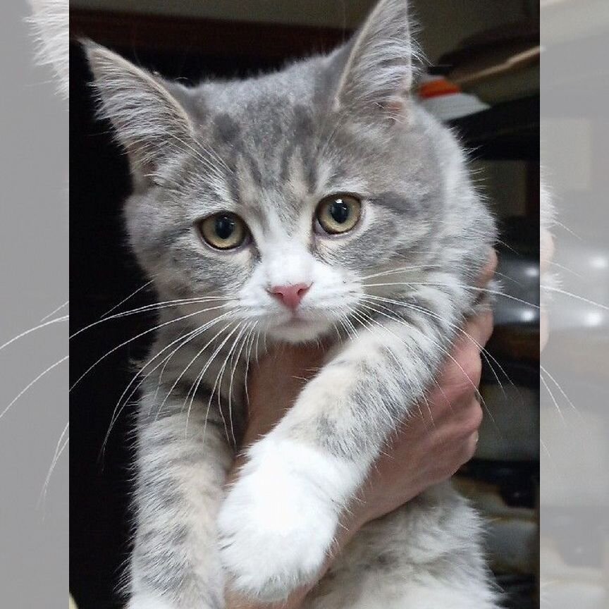 Маруся и Маняша