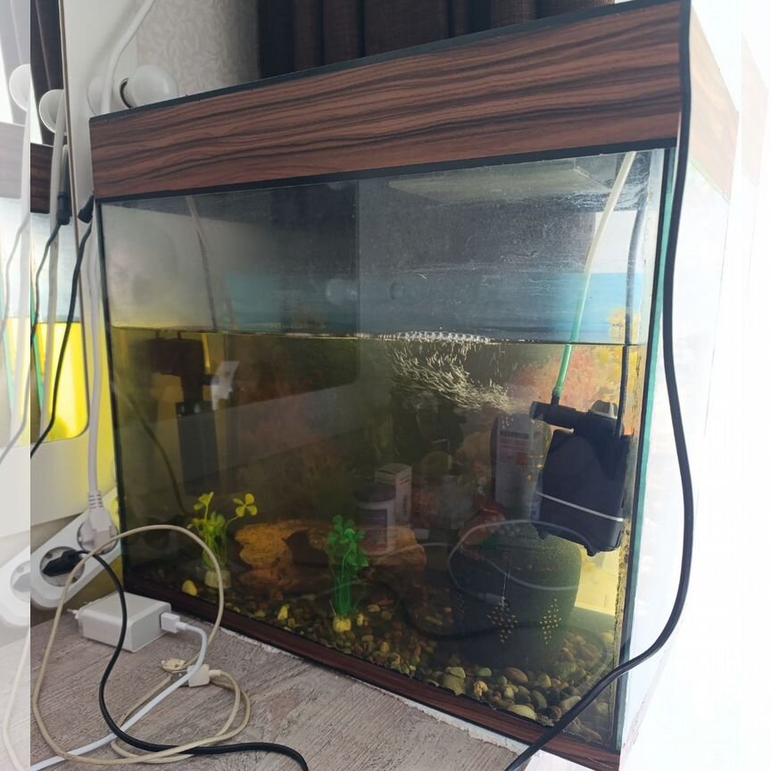 Аквариум с рыбками 50 литров