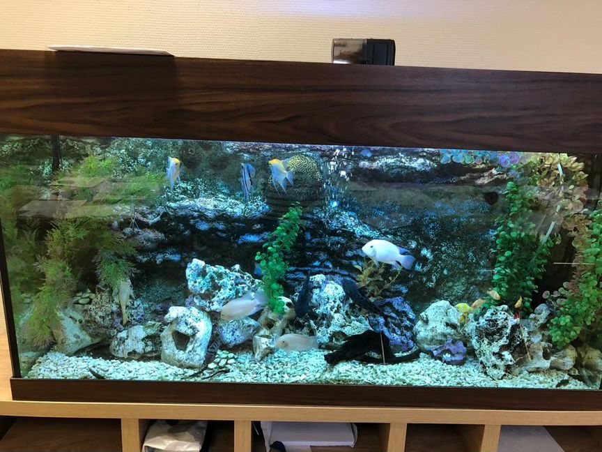 Аквариум на 420 литров