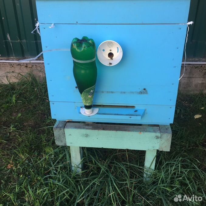 Пчелосемьи