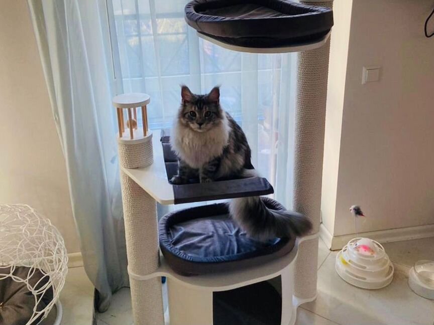 Когтеточка домик для кошки