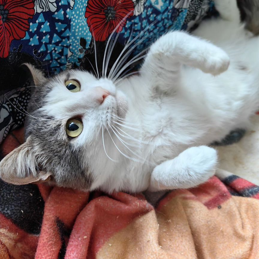 Он так изменился