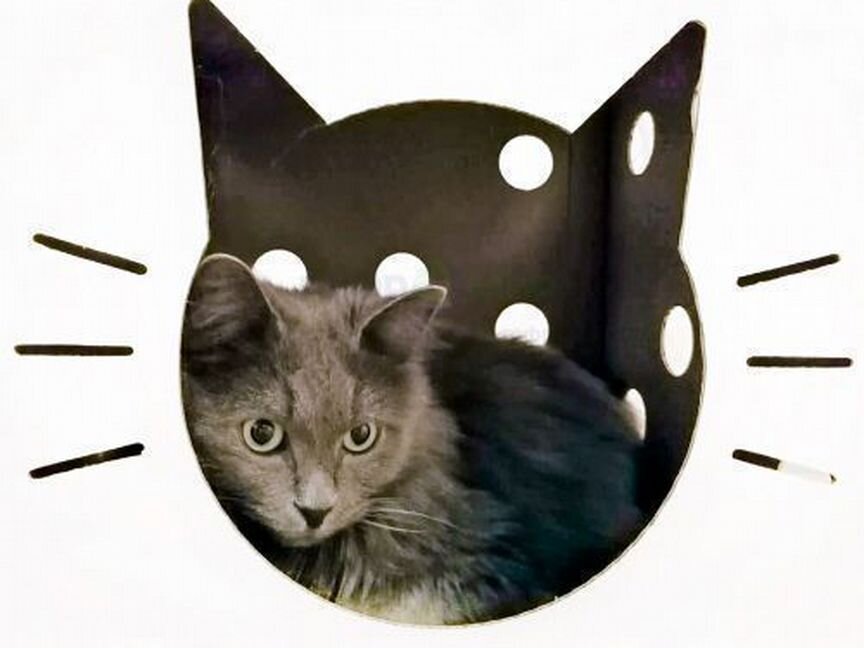 Кошачий домик из картона
