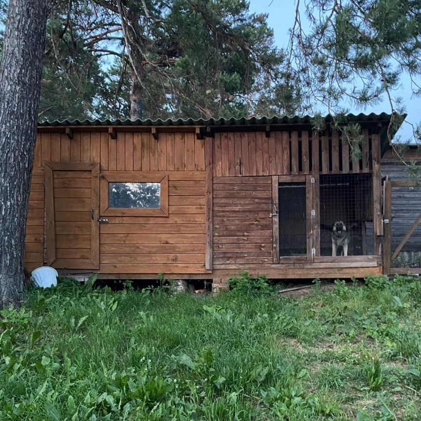 Курятник зимний и летний