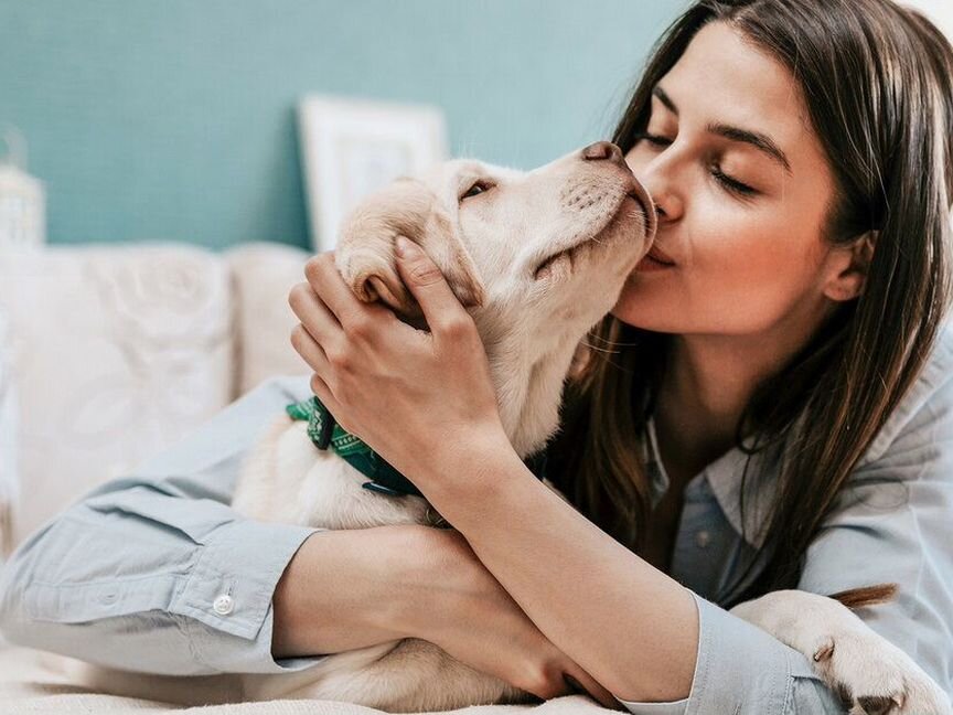 Помогу найти собаку мечты из приюта