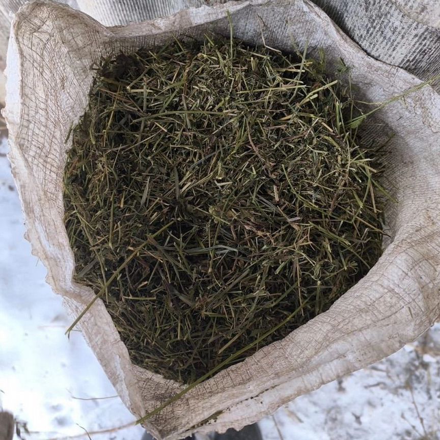 Дробленное сено