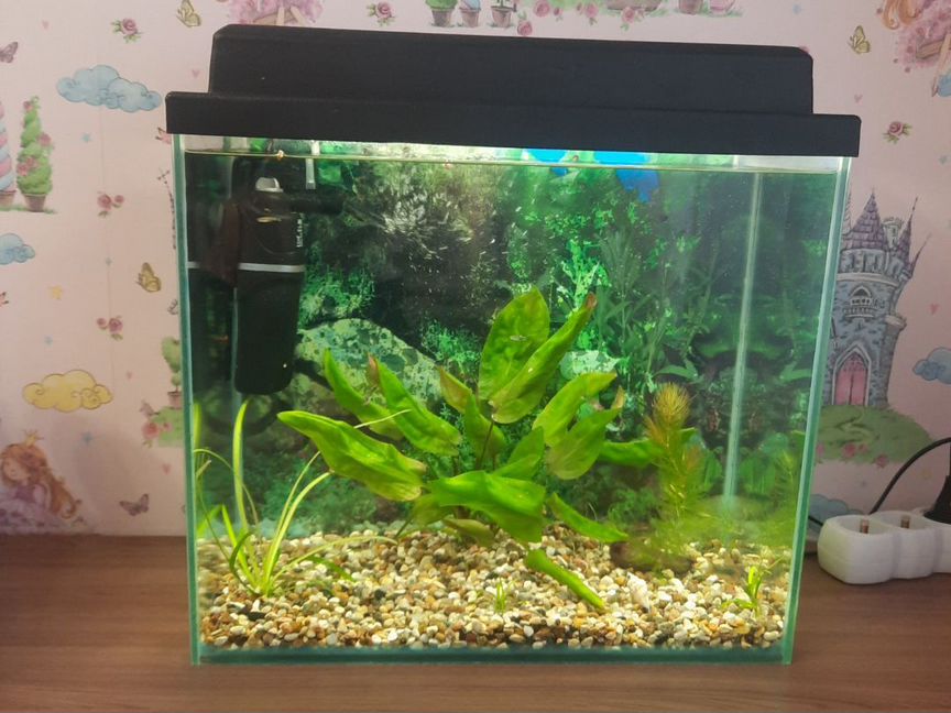 Аквариум с рыбками