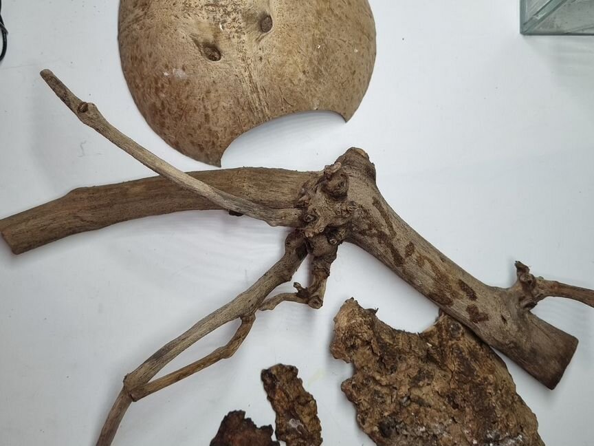 Коряга, кора, кокос для рептилий/ аквариума