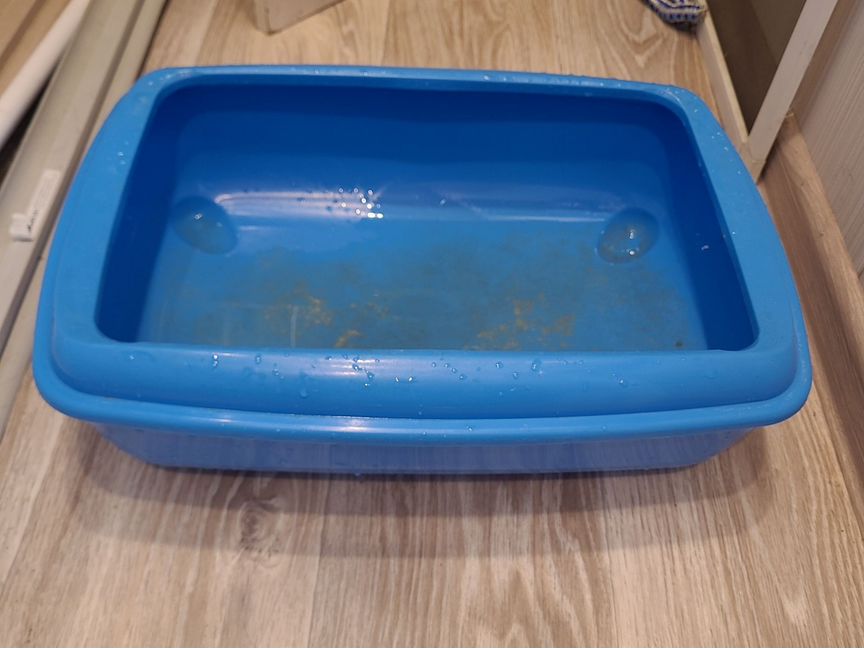 Лоток для кошек большой