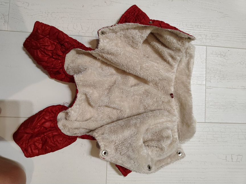 Одежда для собак мелких пород для той терьера