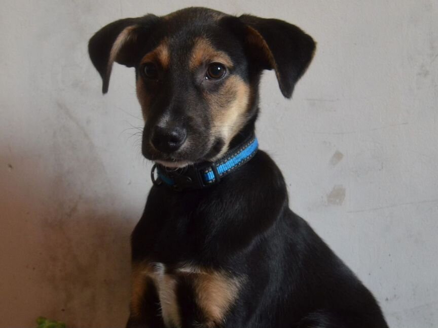 Славный и спокойный малыш