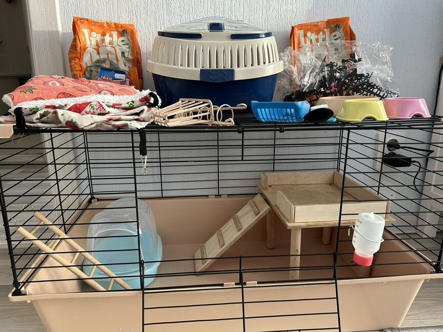 Клетка и все для грызуна