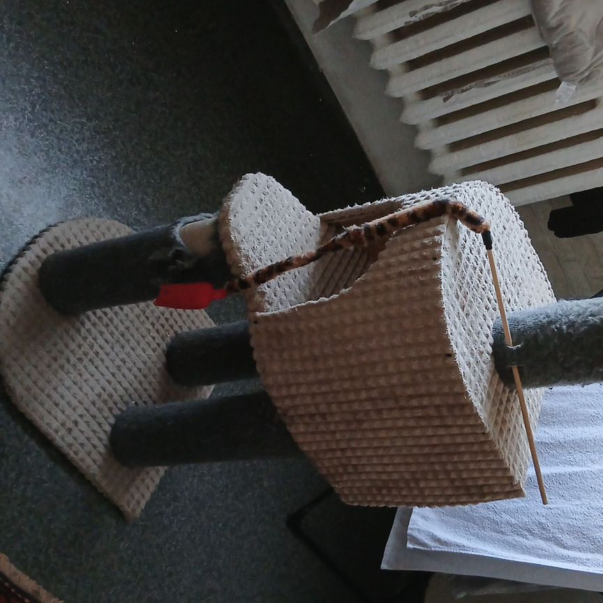 Домище для кошки