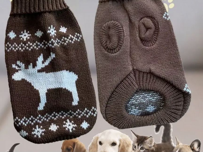 Одежда для животных