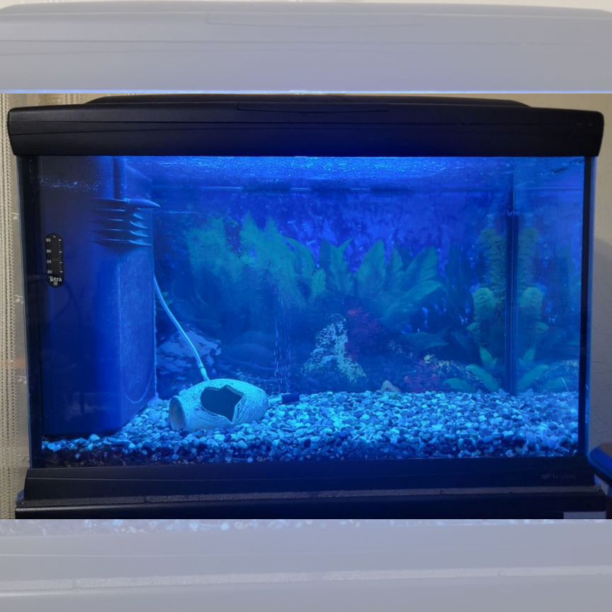 Аквариум с тумбой Ferplast 60л