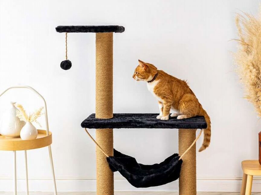 Домик когтеточка для котят, большой кошки, собаки