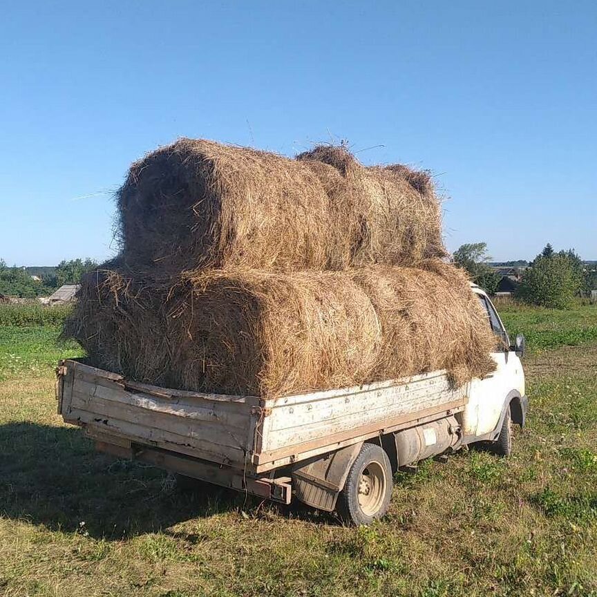 Сено в рулонах