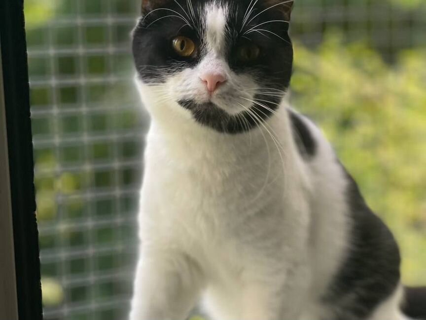 Пережила предательство