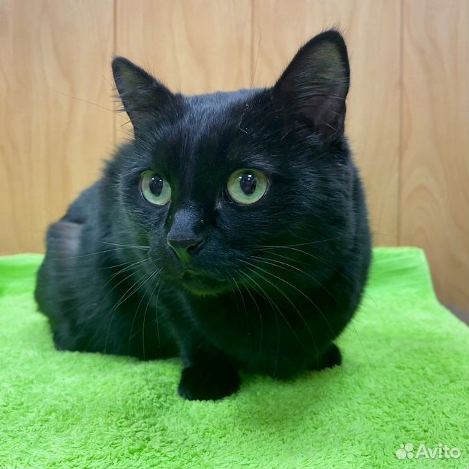 Нежная и ласковая девочка