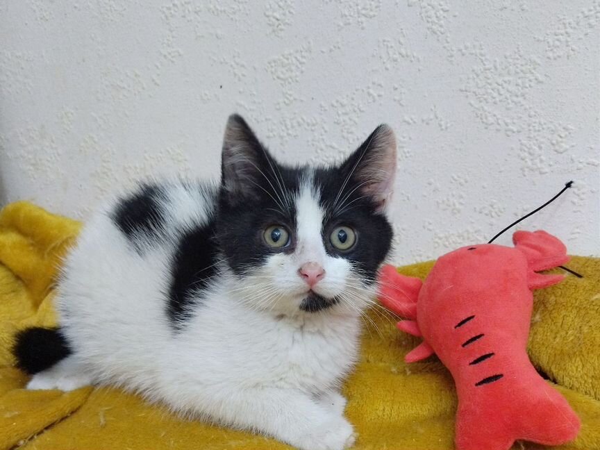 Мальчик хочет домой