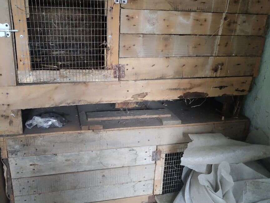 Клетки для кроликов