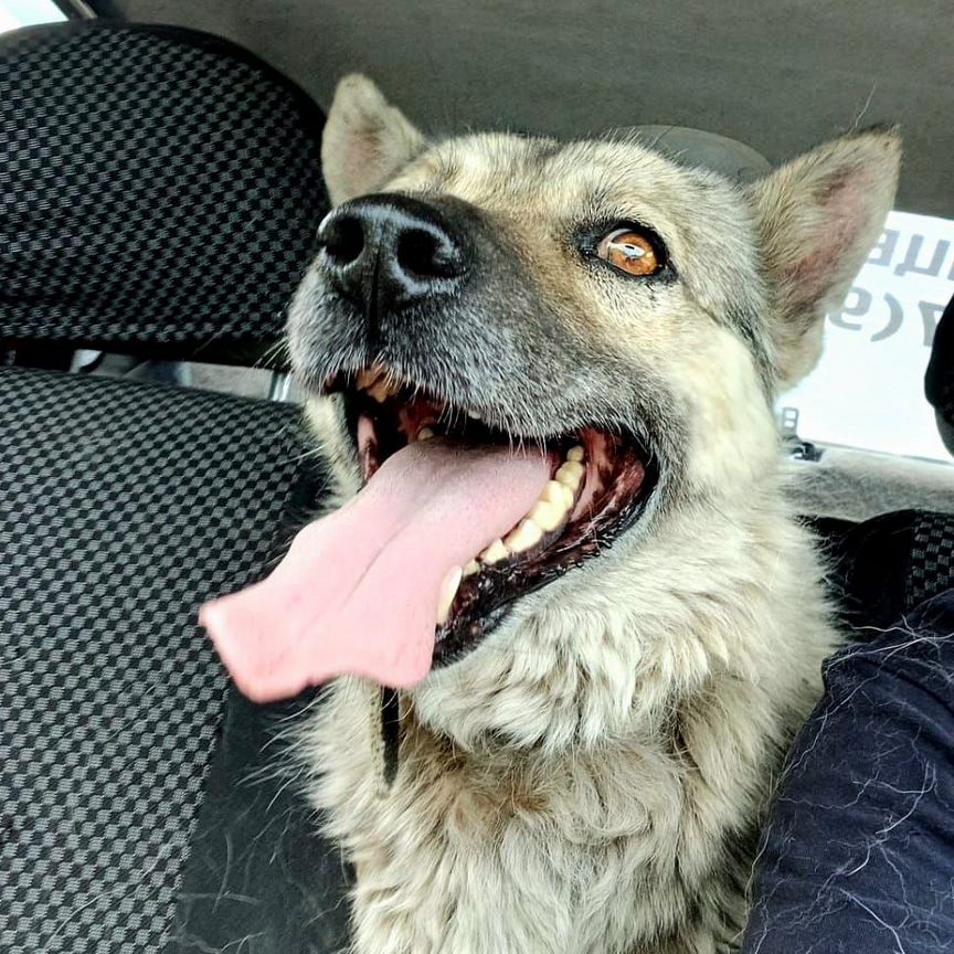 Охранник Тимур ищет работу