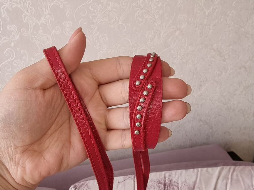 Ринговка для собак