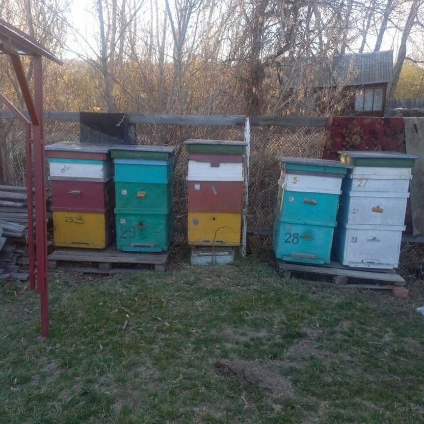 Ульи для пчел