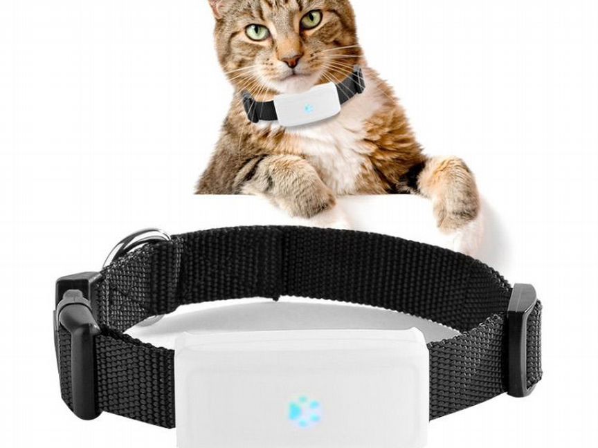 Tk star 911 GPS трекер для животных