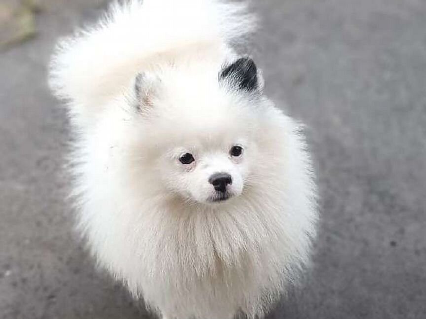 Ищем жениха