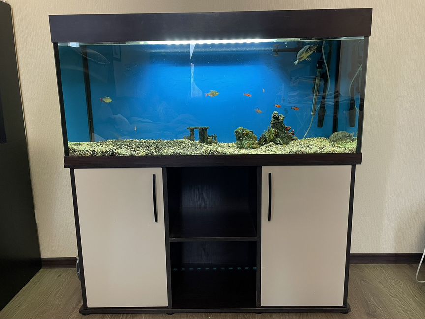 Аквариум 200 л с оборудованием,черепахами,рыбками