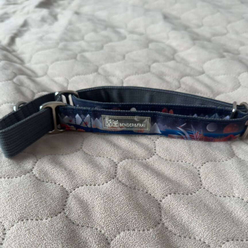 Ошейник мартингейл bender frai