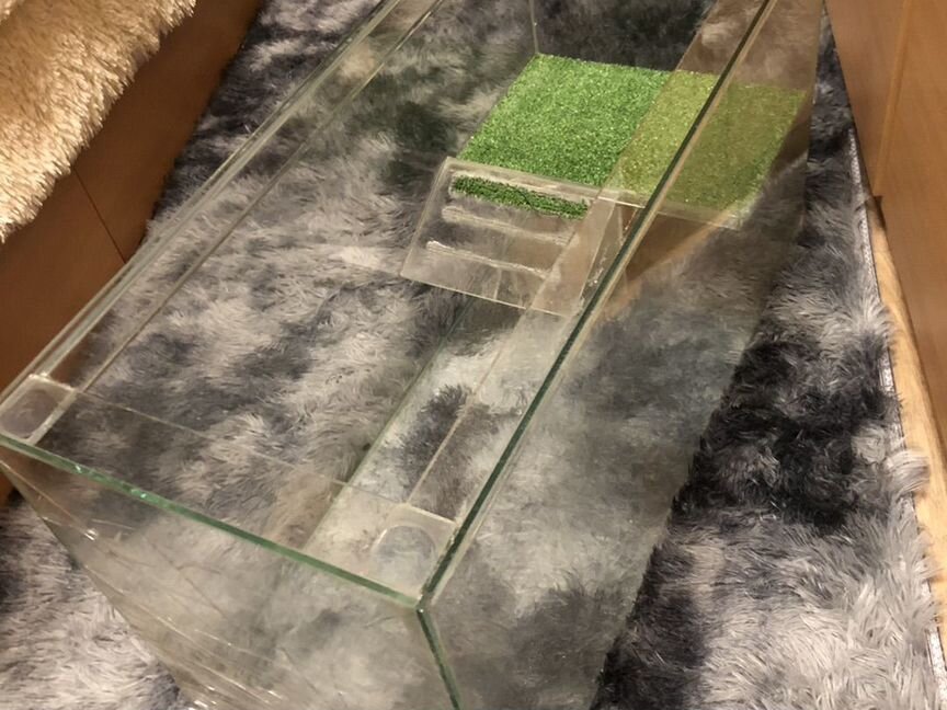 Аквариум террариум
