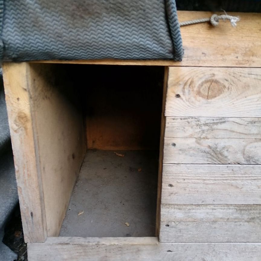 Собачья будка