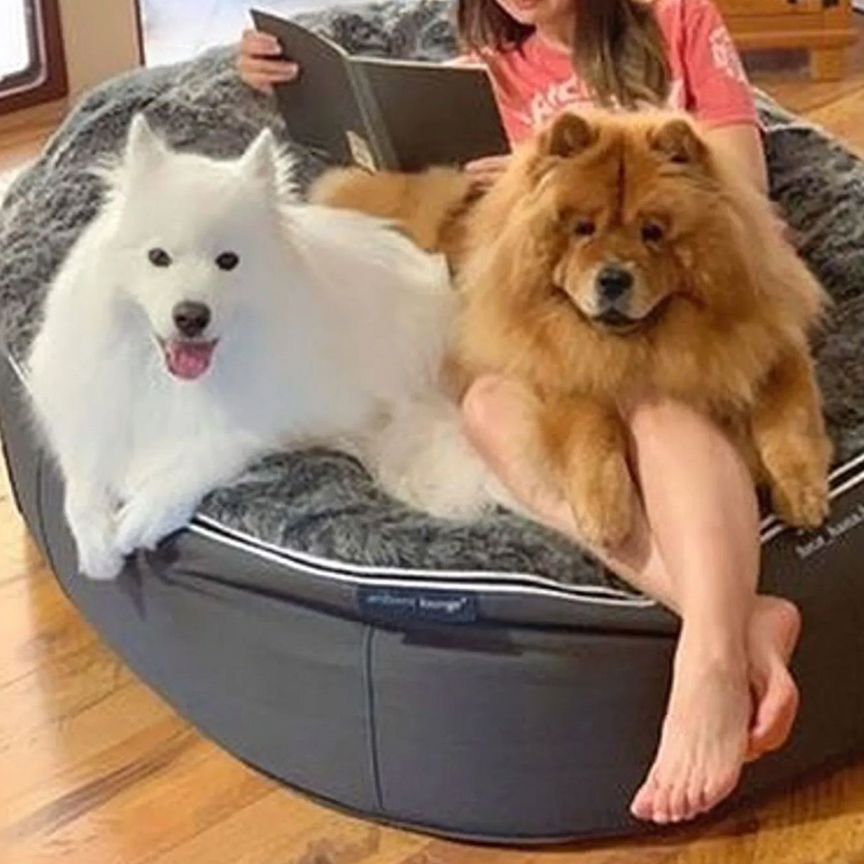 Лежак для собак