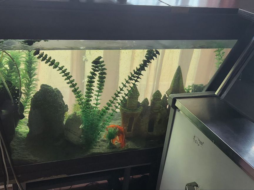 Аквариум 450л с рыбками