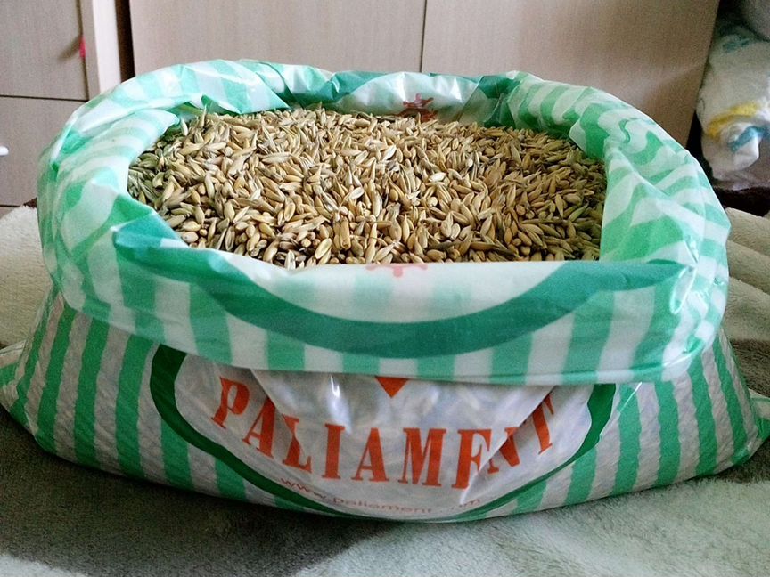 Семена -Овса